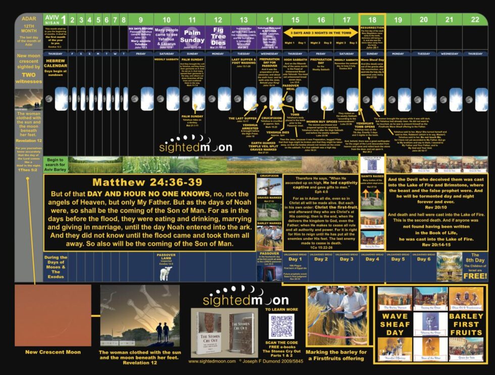 2026 Barley Report-THE MONTH OF AVIV IS HERE!!! - sightedmoon.com