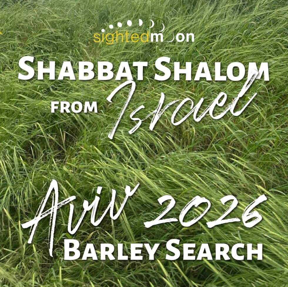 2026 Barley Report-THE MONTH OF AVIV IS HERE!!! - sightedmoon.com
